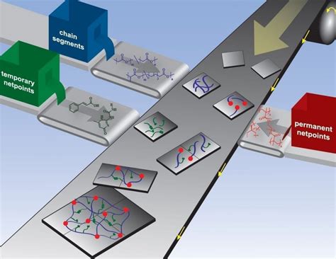The Chemistry Of Shape Memory Polymers And Stimuli Sensitive Materials