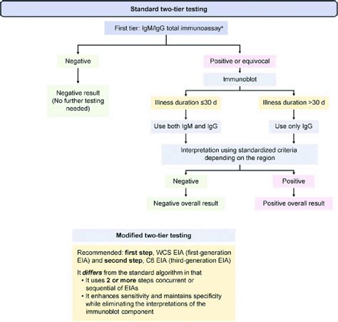 Algorithm For The Serologic Testing Of Lb Centers For Disease Control Download Scientific