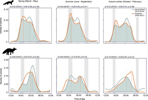 Seasonal Patterns Of Diel Activity In The Stone Marten Martes Foina