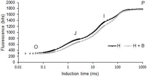 Plants Free Full Text Application Of An Enzymatic Hydrolysed L α