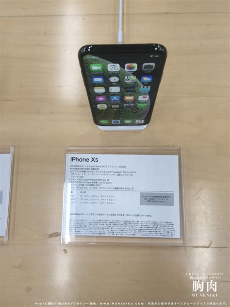 んiPhoneセックスiPhoneXsをiPhoneSEXに空目してしまう勘違い ラブドール専門のマニュアルサイト胸肉