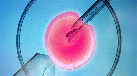 Infertility Treatment In Baner Dr Pritam Tambekar Infertility Treatment In Baner Dr Pritam Tambekar