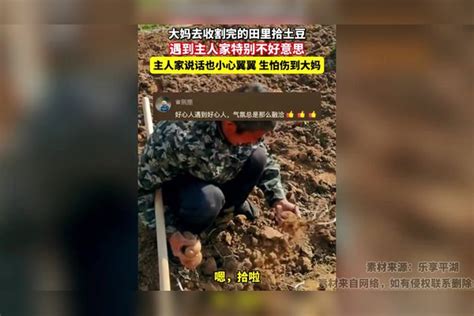 大妈捡地里土豆被老板发现，忐忑不安吓到起身，老板一句话格局大