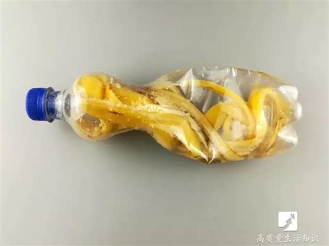 涨姿势 家里植物养不好一根香蕉全搞定长势旺盛不长虫