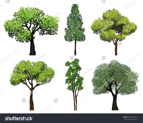 4 423 Twigs Forming Tree Images Stock Photos Vectors Shutterstock