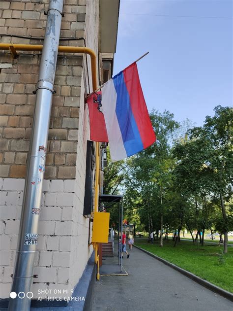 22 августа День флага России Пикабу