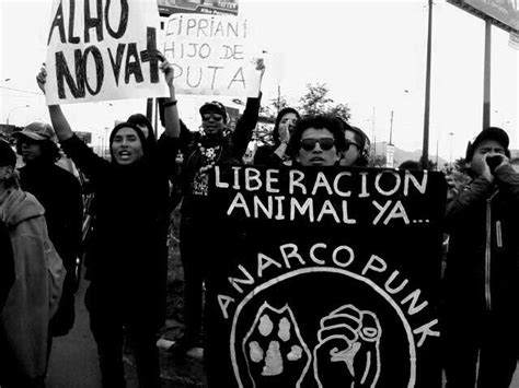 Entrevista Banda Conflicto e Organização Anarcopunk de Lima Peru