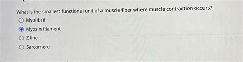 Solved What Is The Smallest Functional Unit Of A Muscle Chegg