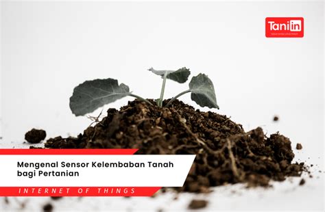 Mengenal Sensor Kelembaban Tanah Bagi Pertanian