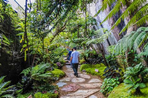 무료 이미지 아름다운 아름다움 지독한 식물의 식물학 꽃다발 닫기 닫다 색깔 화려한 시원한 한 지방 플로라 꽃 무늬의 선도 정원 원예 잔디