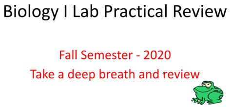 Lab Practical Diagrams Diagram Quizlet