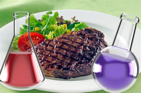 フロリダ州、培養肉禁止法が制定。「肉は人ではなく神が作るもの」 【憂国ちゃんねる】