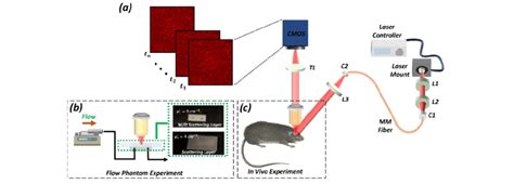 Synthetic Multi Exposure Speckle Imaging A Schematic Of The Imaging