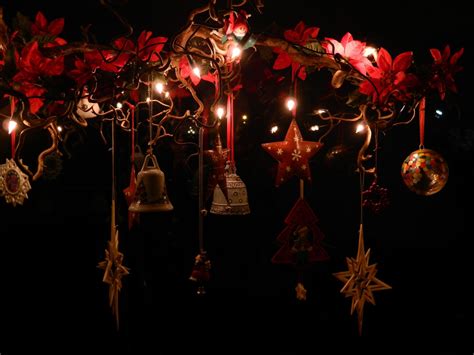 Free Images Light Night Star Flower Sparkler Red Darkness