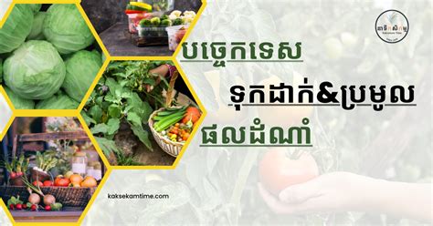 កសិកម្ម នាទីកសិកម្ម Kaksekam Time