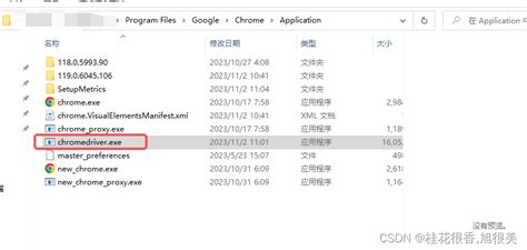 Selenium安装webdriver Chrome驱动含 116117118119120chrome Driver120版本