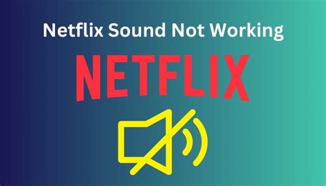 Netflix Sound Not Working Computer Troubleshooting 2024