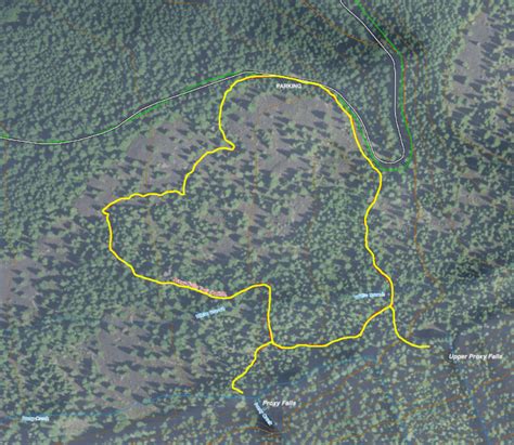 Proxy Falls Loop Hike Hiking In Portland Oregon And Washington