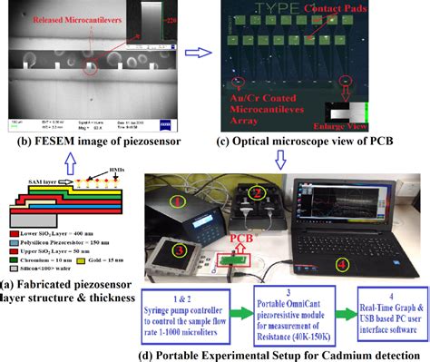 Bjnano Ultrasensitive Detection Of Cadmium Ions Using A Microcantilever Based Piezoresistive