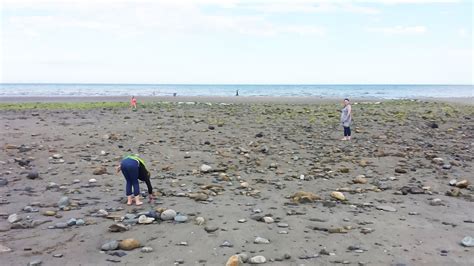 Beachcombing Beach Stones Free Photo On Pixabay Pixabay