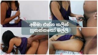 ගදර Porn Videos Pornhub com