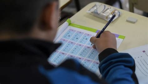 Pruebas Aprender ¿cómo Fue El Desempeño En Lengua Y Matemática La