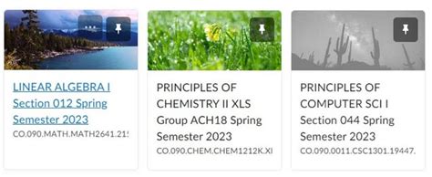 Anyone Else Not Seeing Their Classes In Icollege Rgastate