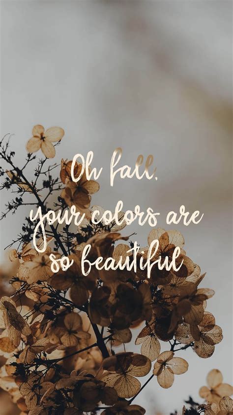 Fall Autumn Free Wallpapers Discover New Designs Every Month JO