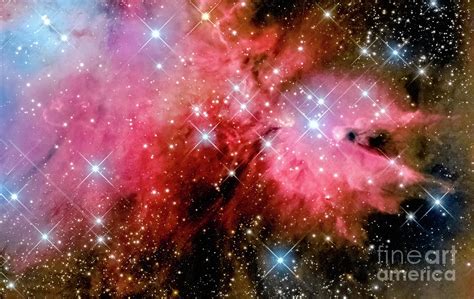 Cone Nebula Christmas Tree Cluster Photograph By Jim Delillo Fine Art
