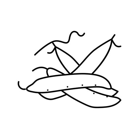 Peas Pod Line Icon Vector Illustration 18998829 Vector Art At Vecteezy