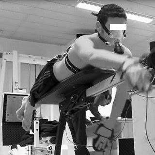 Example Of The Experimental Setup Download Scientific Diagram