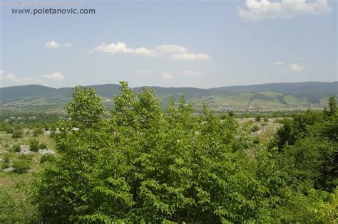Слике Вагана из Јула 2004