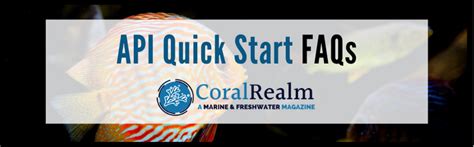 Api Quick Start Review Putting Quick Start Through Its Paces Coralrealm