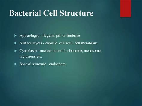 Bacterial Cell Structure And Function 1ppt