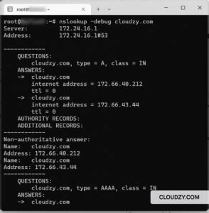 NsLookup Commands in Windows and Linux: A DNS Guide