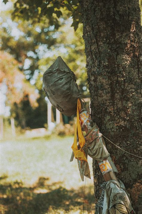 회색 재킷과 파란색 데님 청바지를 입은 남자가 낮에 갈색 나무에 올라간다 사진 Unsplash의 무료 프랑스 이미지