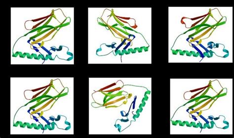 Three Dimensional Structures Of Mhc Iiα Proteins From Grass Carp A