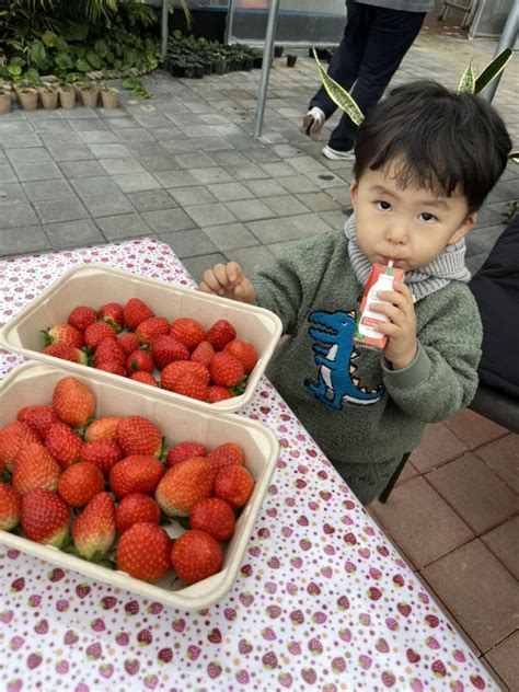 아들이랑고창여행고창딸기체험고창상하농원베리나이스패키지고창파머스빌리지1박2일여행고창동물농장상하키친고창상하농원고창