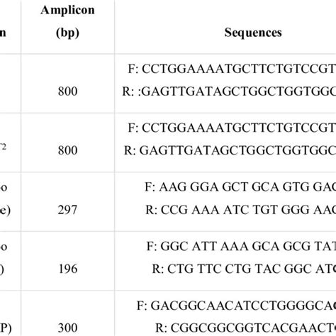 Primer Sequences And Amplicon Sizes Used For Pcr Download Scientific