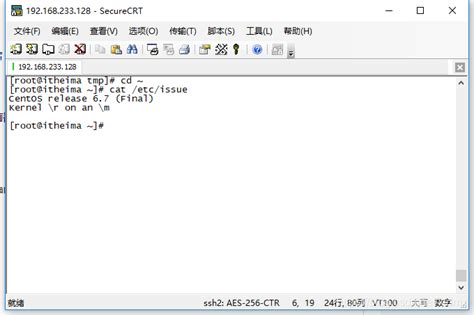 Linux 文件内容查看 Catcat 只要第一横 Csdn博客