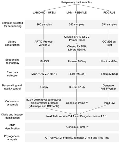 Microorganisms Special Issue Coronaviruses Past Present And Future
