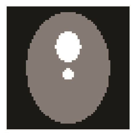 A Phantom Image B Pixel Value Of Each Segment C Sinogram D Download Scientific