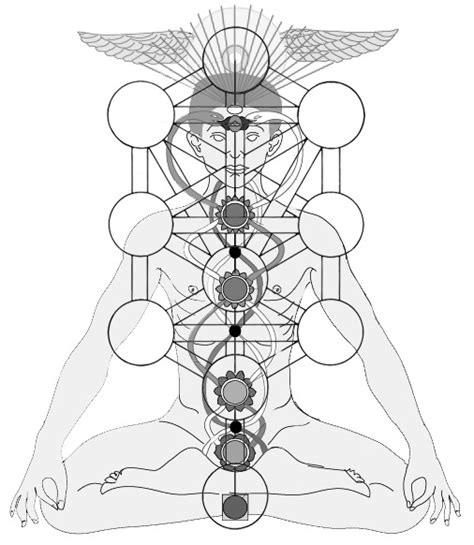 Tree Of Life And Chakras Treeoflifeteachings Com