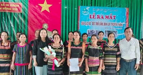 Gia Lai Ra M T C U L C B D T Th C M An L T Truy N Th Ng T I Bu N N Ng Siu