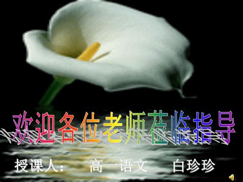 山东莘县实验高中高中语文粤教版必修2第一单元之《我的母亲》课件（22张ppt）教学设计（3份打包） 21世纪教育网