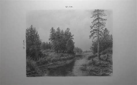 How To Draw A Forest 10 Amazing And Easy Tutorials