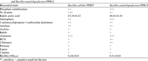Characterization Of Elite Rhizobacterial Antagonists For Plant Growth