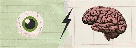 The Brain Vs The Eye A Scientific Anatomy Of Visual Hierarchy By Bunch Of Layers Graphic