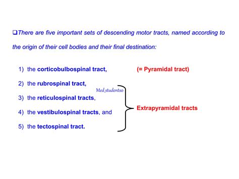 Pyramidal Extrapyramidal Pathways Ppt