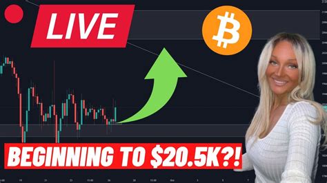 🚨live Trading Bitcoin Live Analysis Youtube